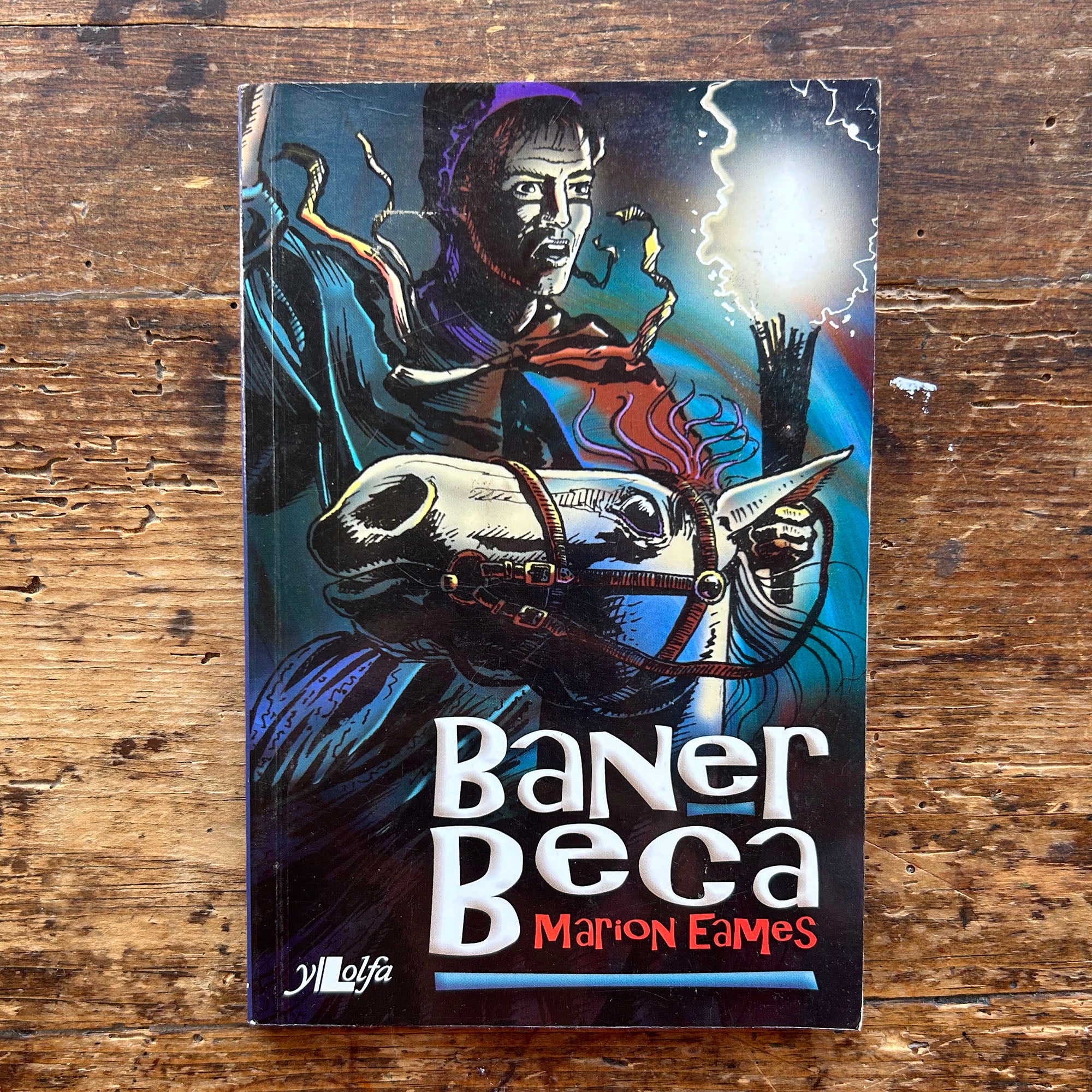 Banner Beca - Marion Eames - Signed by Author (Preloved) – The Welsh ...