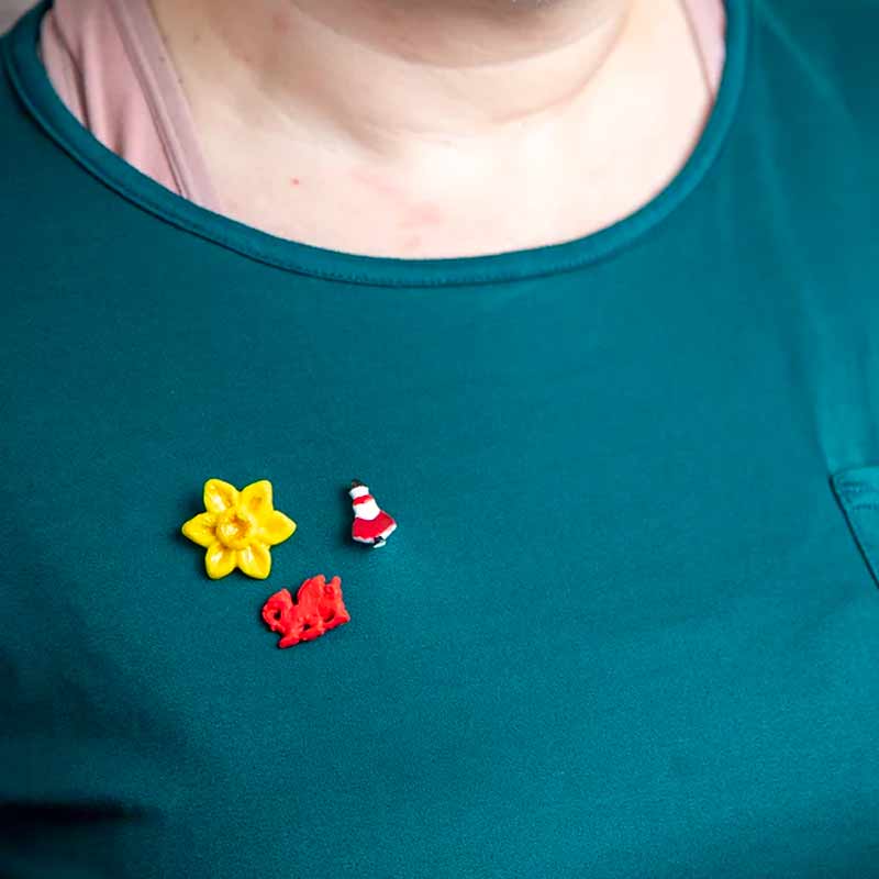 Brooches Pin Badges Set Of 3 Welsh Dragon Daffodil And Welsh Lady