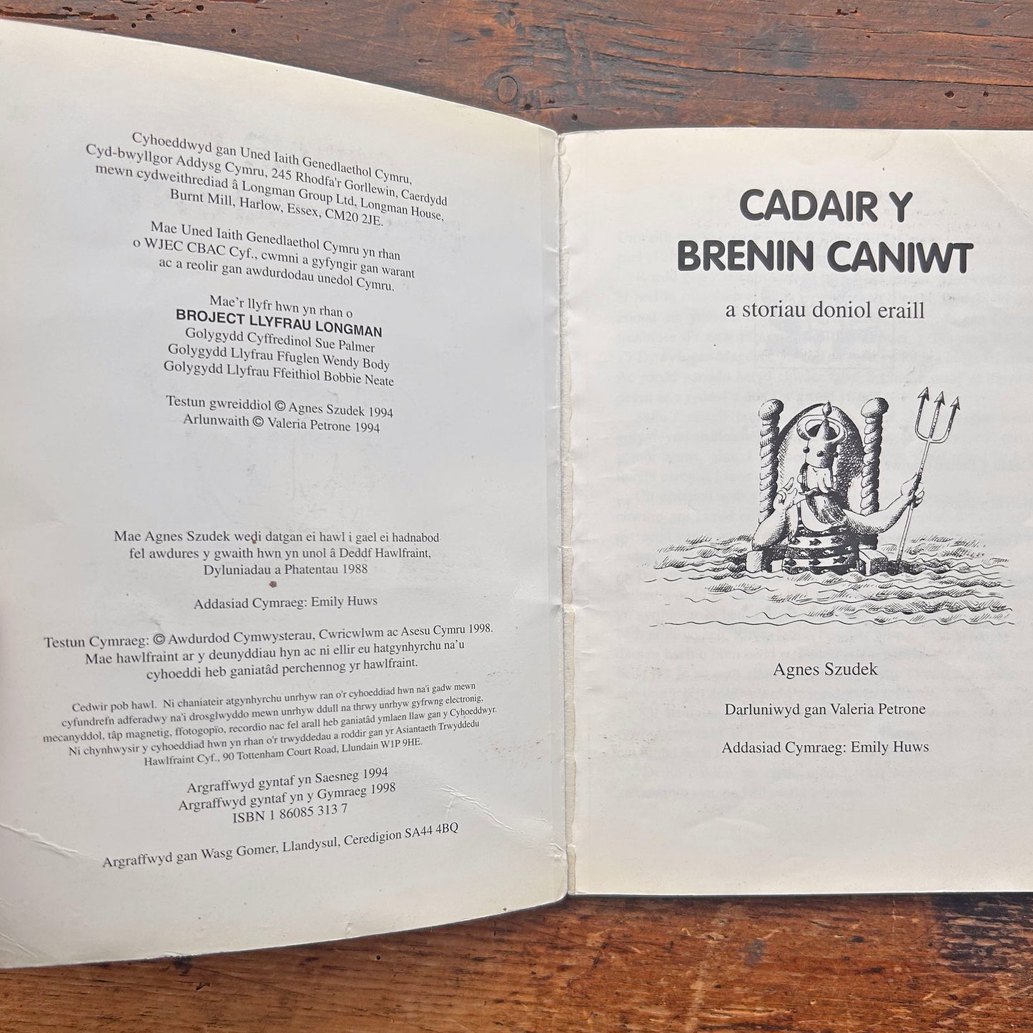 Cadair y Brenin Caniwt - Agnes S.P. Szudek (Preloved) – The Welsh Gift Shop