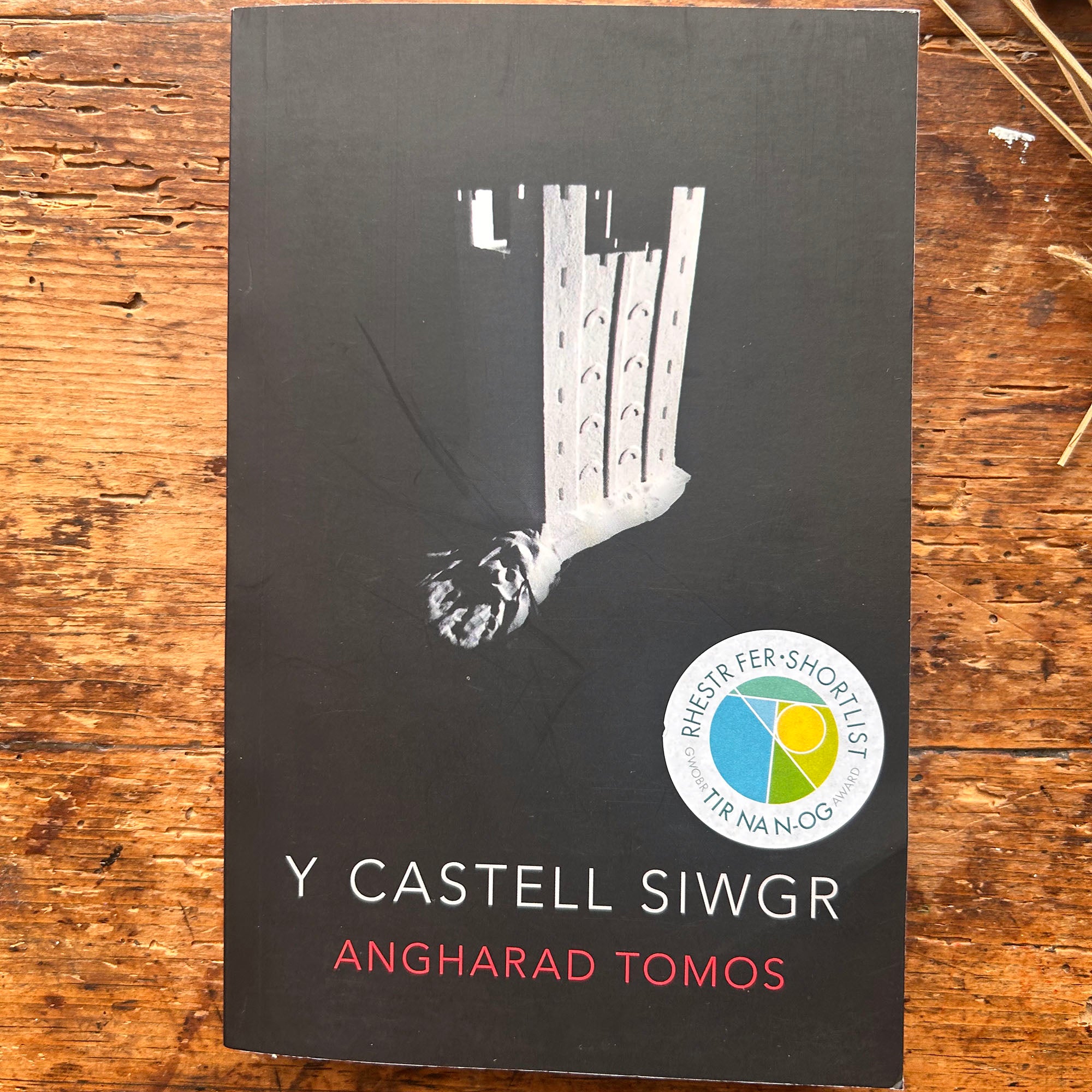 Castell Siwgr - Angharad Tomos - 2020 (Preloved) – The Welsh Gift Shop