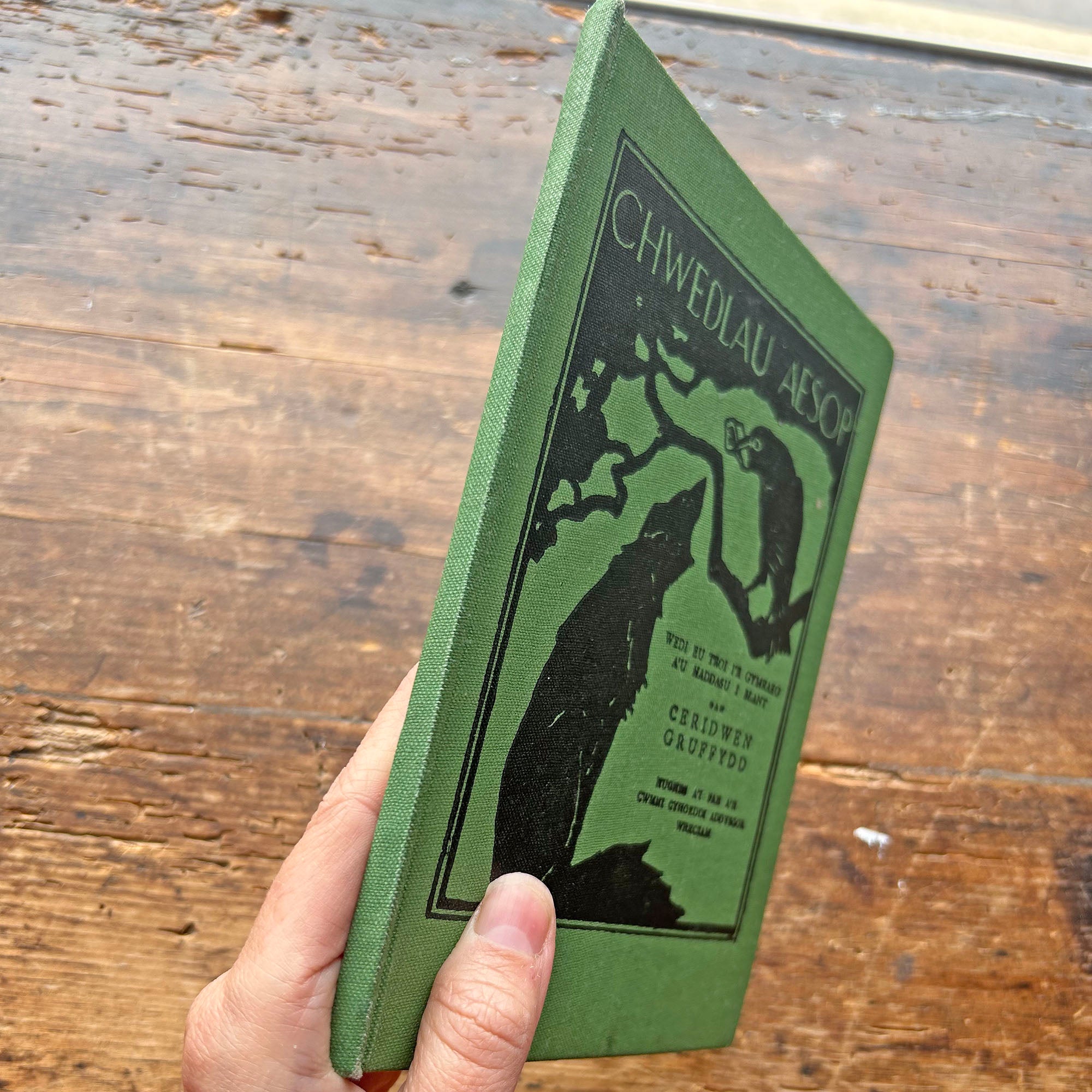 Chwedlau Aesop - Ceridwen Gruffydd - Aesop Fables in Welsh (Preloved)
