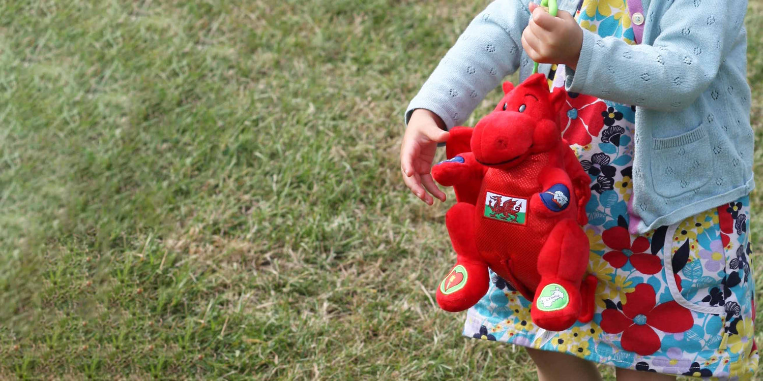 The Welsh Gift Shop - Traditional Presents with a Contemporary Twist