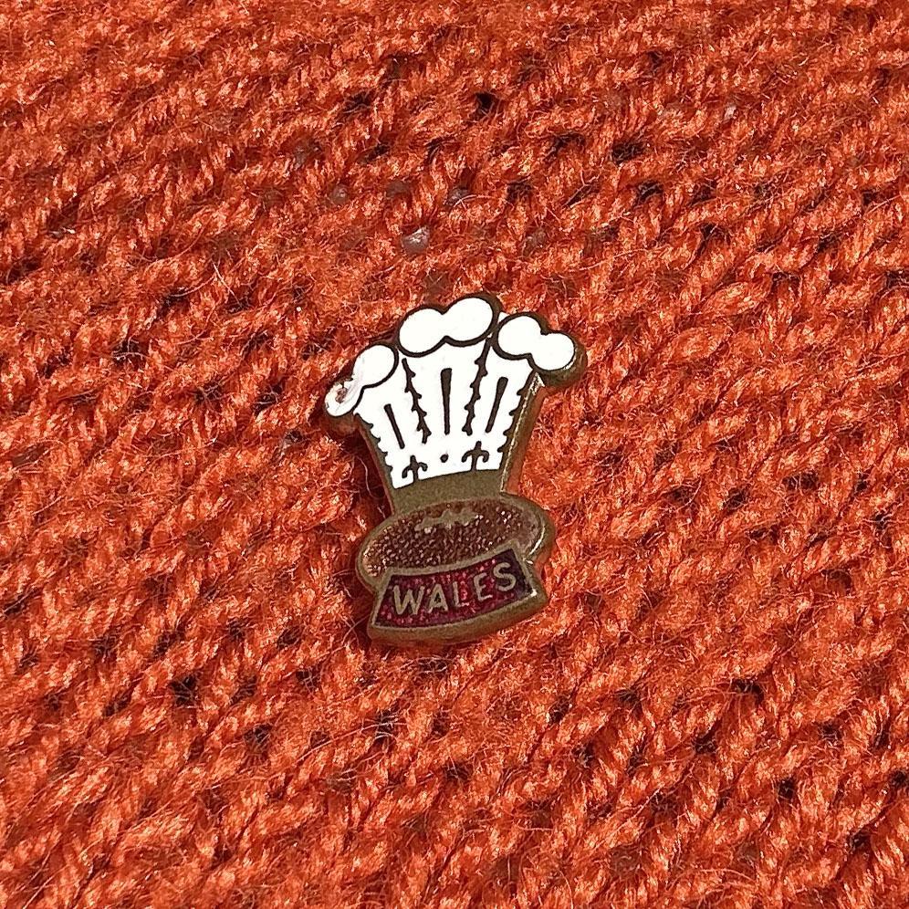 Lapel Pin / Badge - Vintage - Welsh Rugby (Preloved) – The Welsh Gift Shop