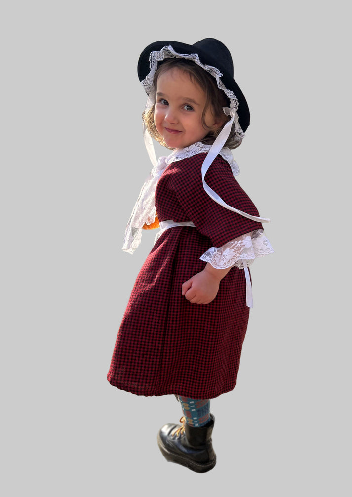 Welsh Lady's Costume - Traditional - Kids / Children / Girls / Babies ...