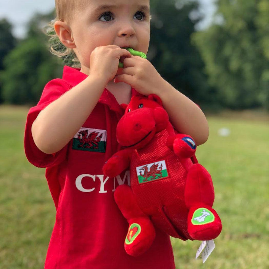 Welsh Gifts for baby, children and newborns. – The Welsh Gift Shop